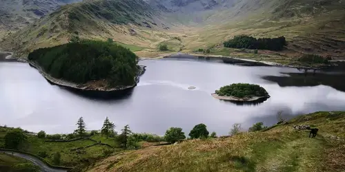 Water & Wainwright Wanderer